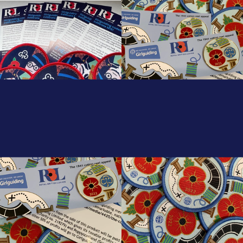 GG Official Badges – Girlguiding Surrey West