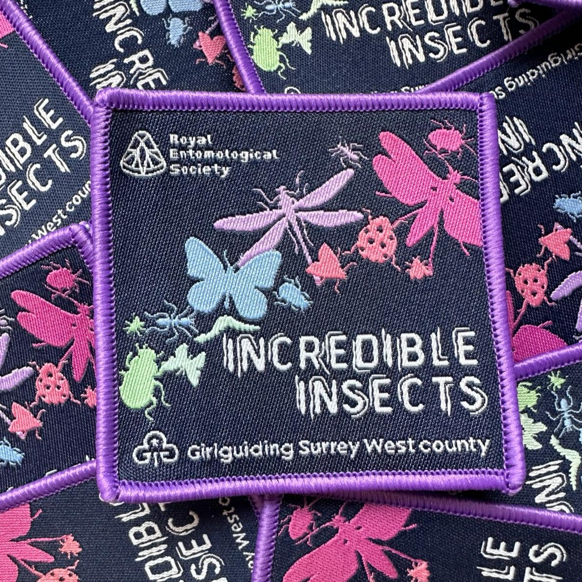 Incredible Insects Challenge Badge – Girlguiding Surrey West